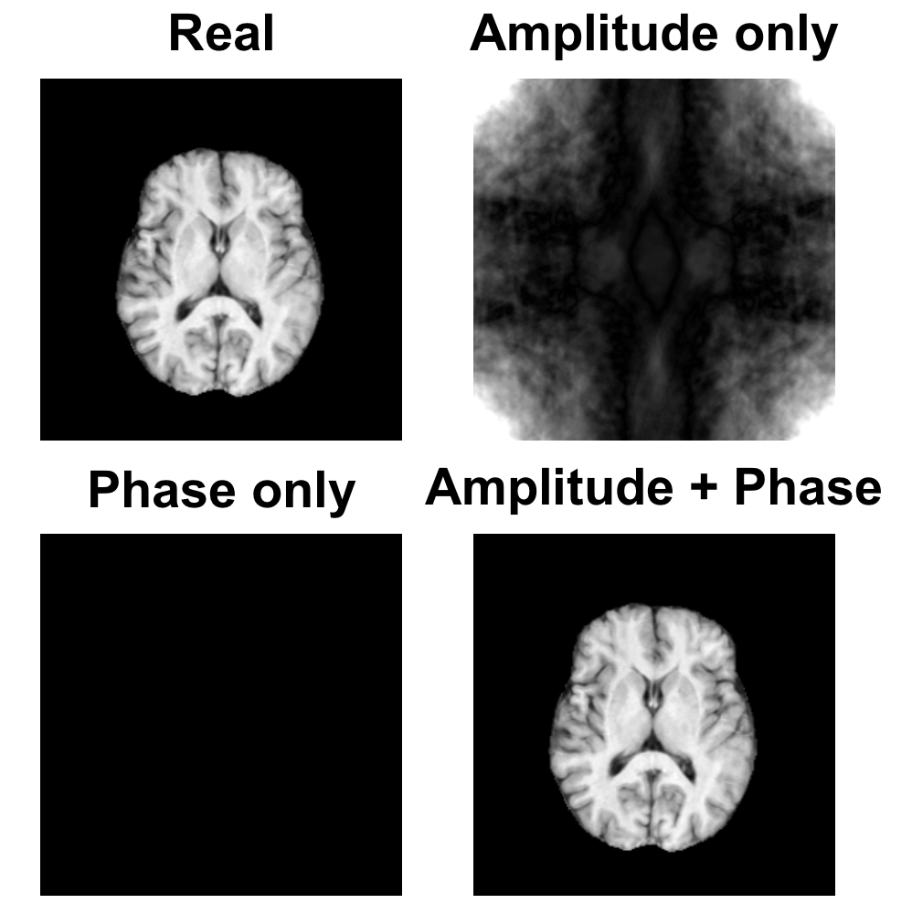 Jinbao Wang (王金宝)
